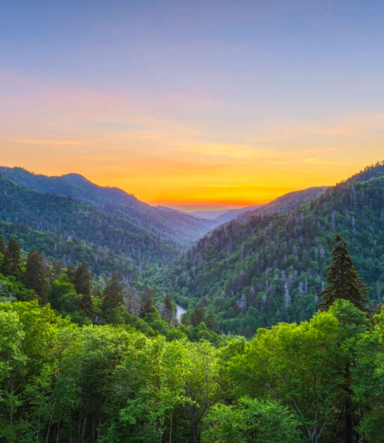 dreamy state park tennessee ftr