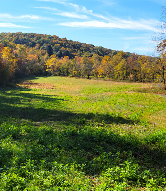 dreamy state park virginia ftr