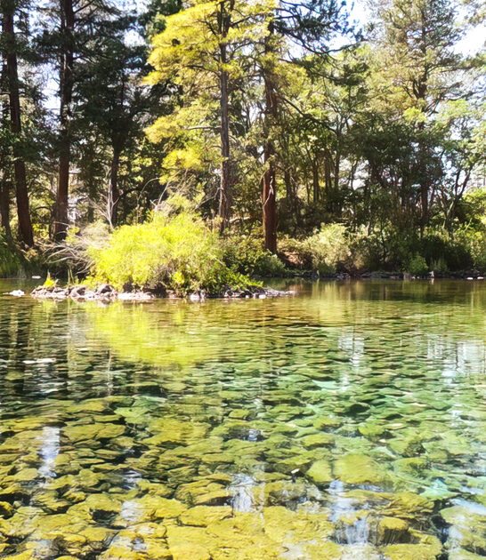 dreamy state parks california ftr