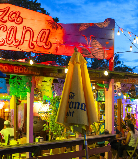 drive florida nachos restaurant ftr