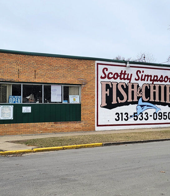 drive michigan fish chips ftr