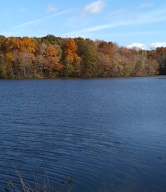 enchanting parks illinois locals ftr