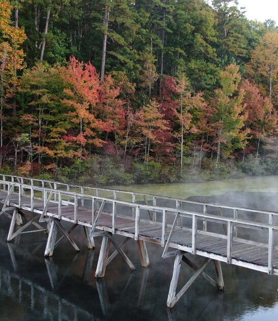 enchanting state park tennessee ftr