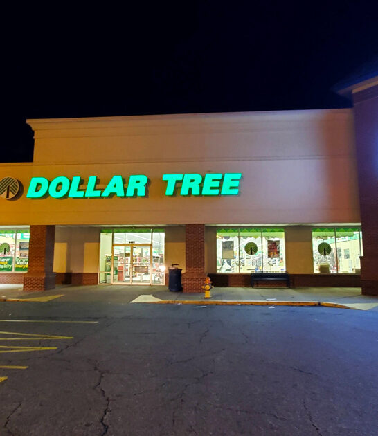 enormous delaware dollar store ftr