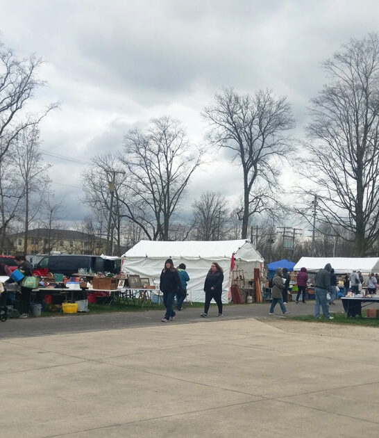 enormous flea fair ohio ftr