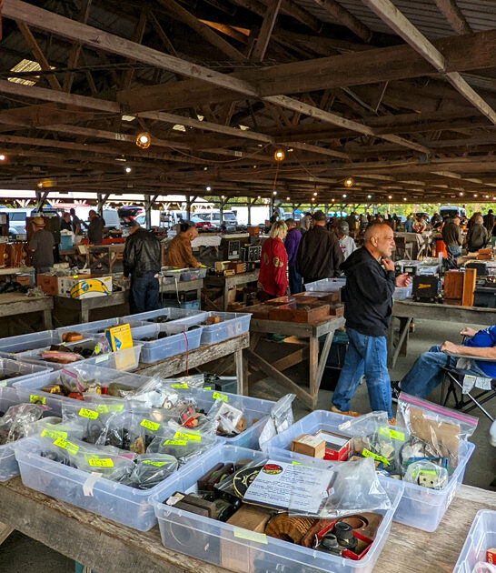 enormous flea pennsylvania treasure ftr