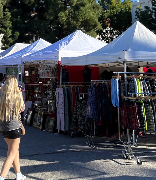 enormous market california treasure ftr