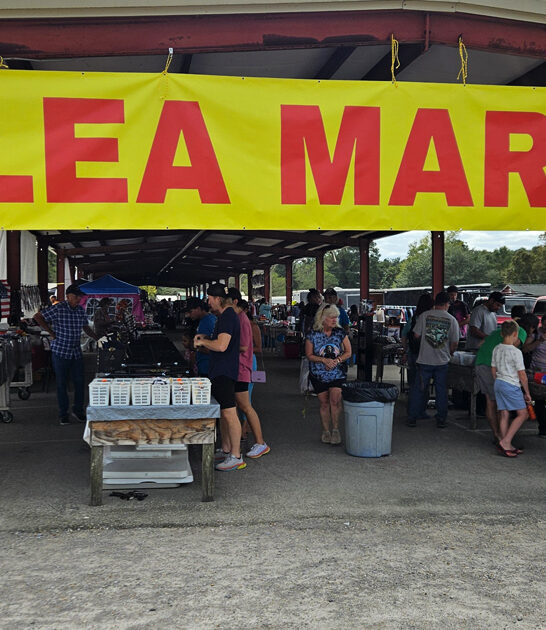 enormous mississippi swap meet ftr