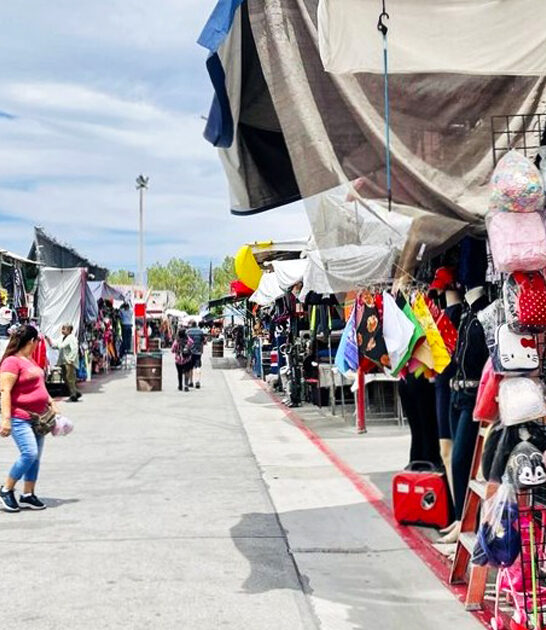 enormous nevada swap meet ftr