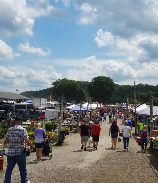 enormous ohio swap meet ftr