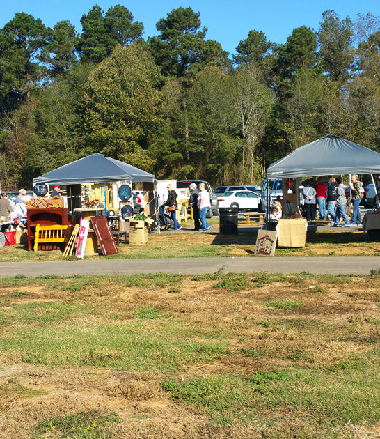 enormous swap meet louisiana ftr