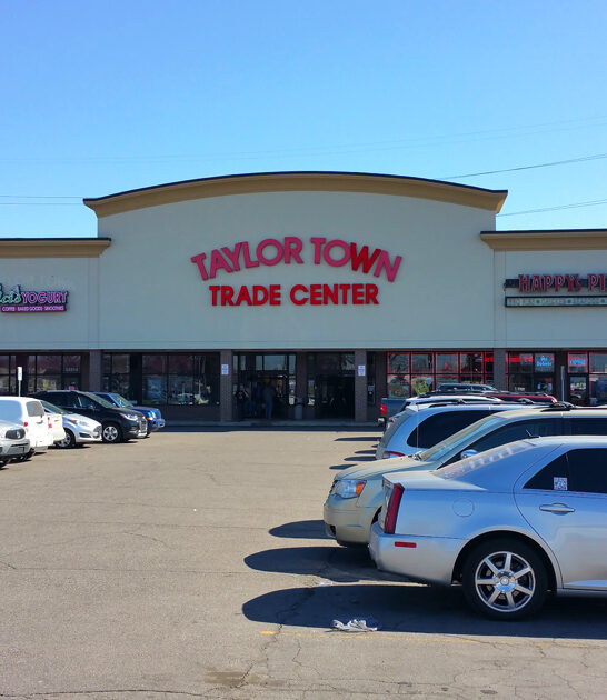 enormous swap meet michigan ftr