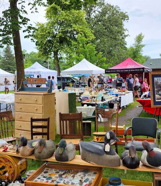 enormous swap meet minnesota ftr