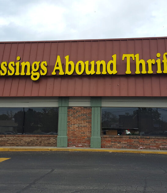 enormous thrift shop kansas ftr