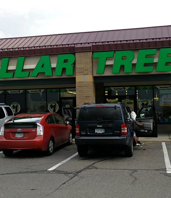 explore dollar store minnesota ftr