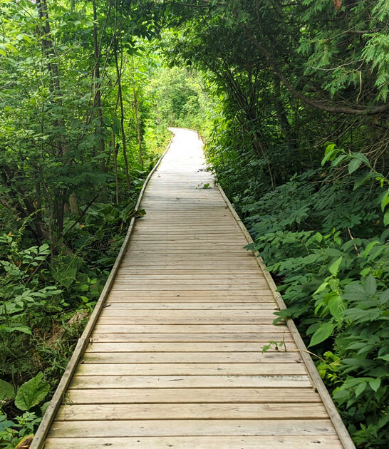 fascinating nature preserve ohio ftr