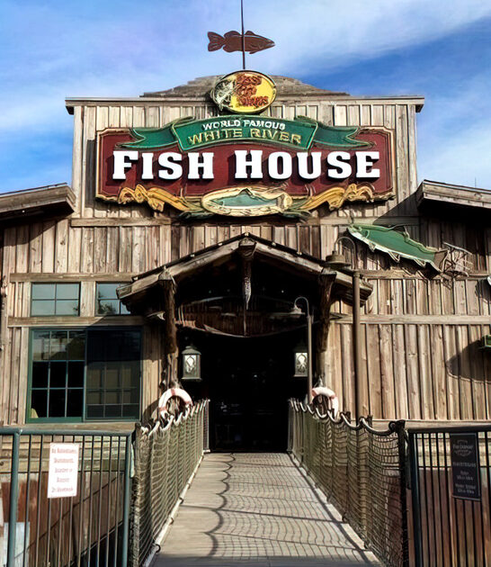 fish chips delicious missouri ftr