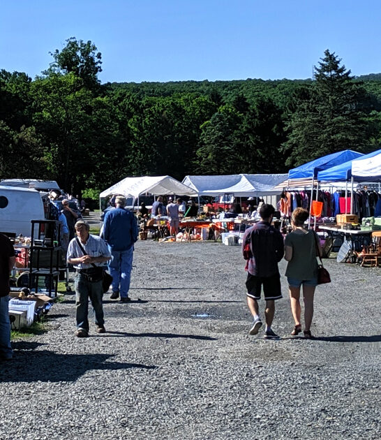 flea market enormous pennsylvania ftr