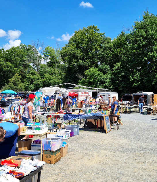 flea market pennsylvania gigantic ftr
