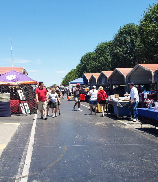 flea market tennessee enormous ftr