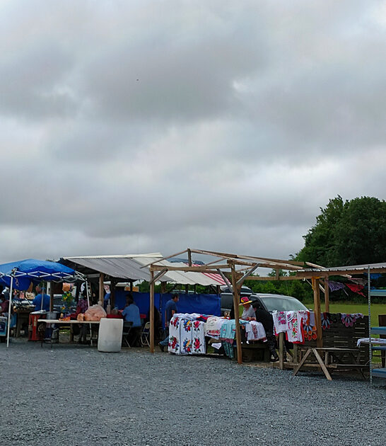 flea north carolina bargains ftr