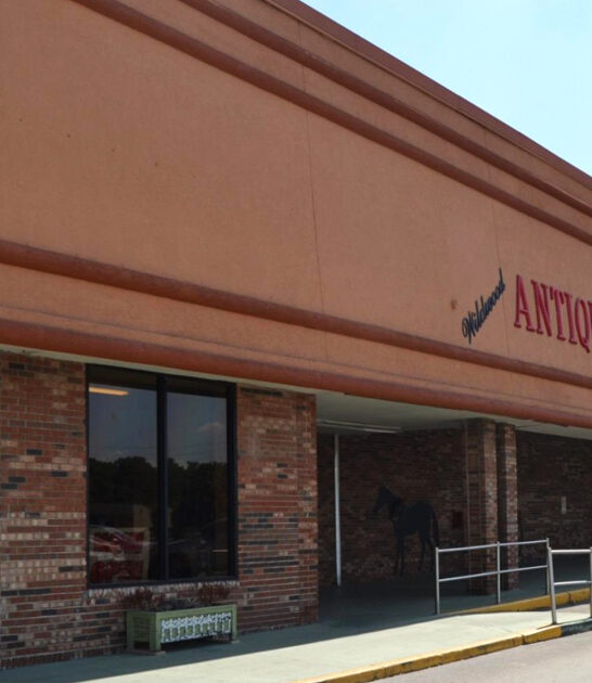 florida antique bargain destinations ftr