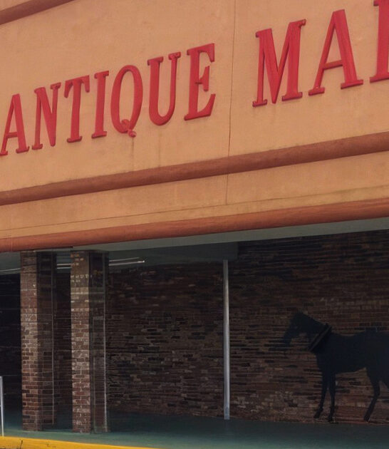 florida antique browsing store ftr