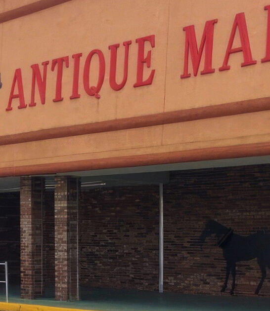 florida antique shopping experience ftr