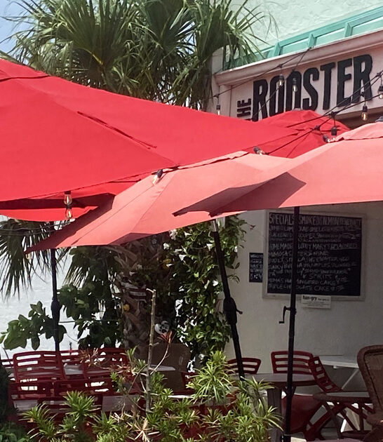 florida best homemade biscuits ftr