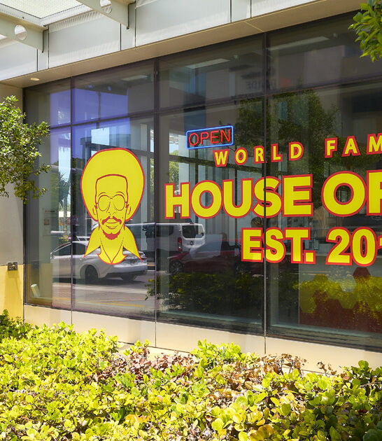 florida best jerk chicken ftr