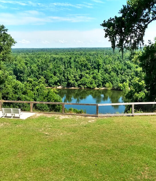 florida best outdoor activities