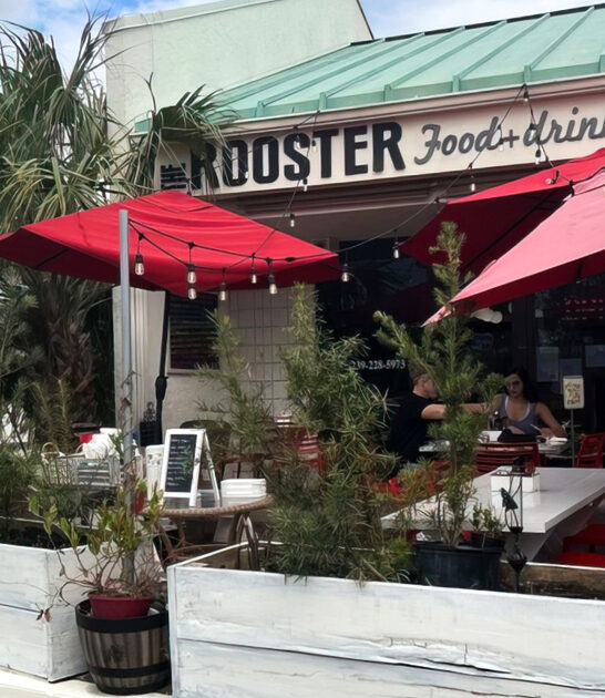 florida buttermilk fried chicken ftr