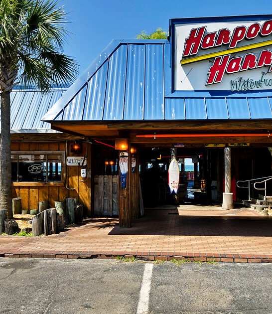 florida delicious shrimp quesadilla ftr