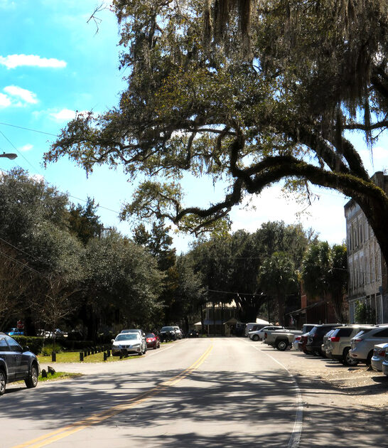 florida easy living town ftr