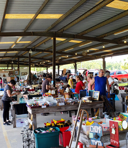 florida enormous bargains place ftr