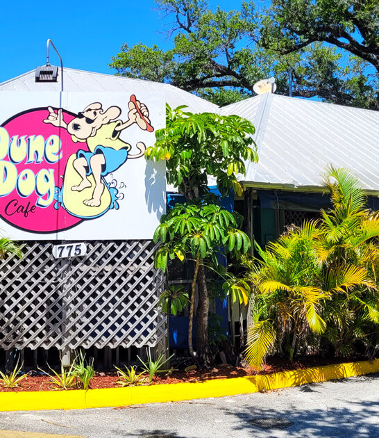 florida fish chips destination ftr