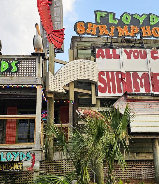 florida humble beachside restaurant ftr
