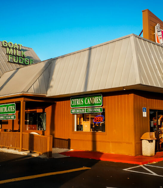 florida nostalgic candy store ftr