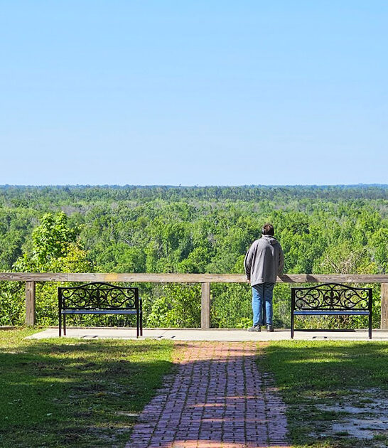 florida outdoor park experience ftr