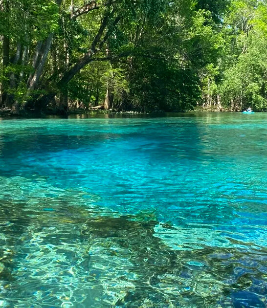 florida park beauty hidden ftr