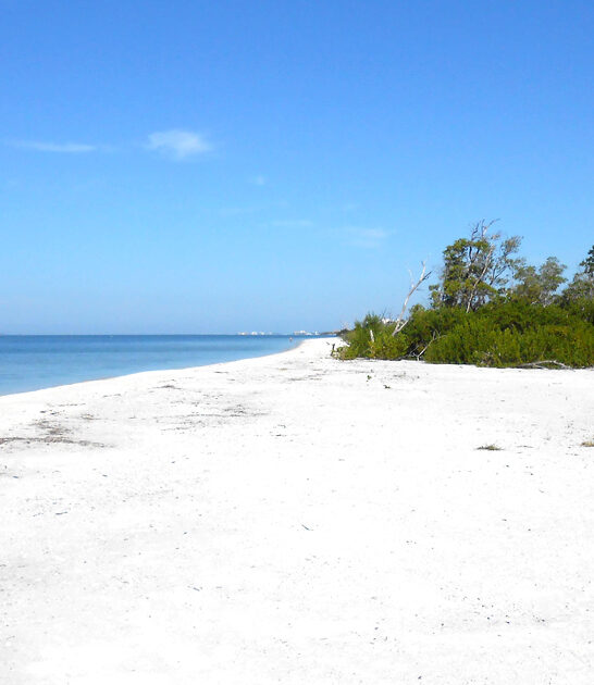 florida picturesque beach postcard ftr