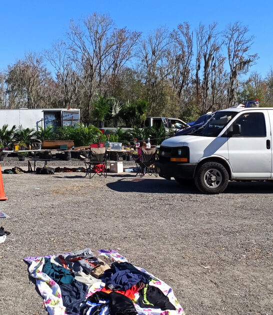 florida rare treasures market ftr