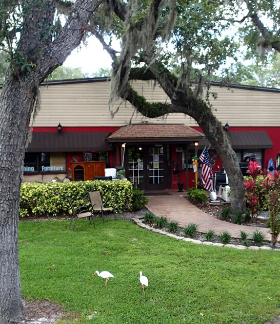 florida secondhand deals spot ftr