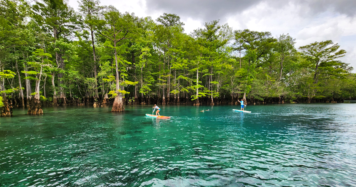 Long Blue Spring The Dreamy Crystal Blue Spring In Florida You Thought Only Existed In ...
