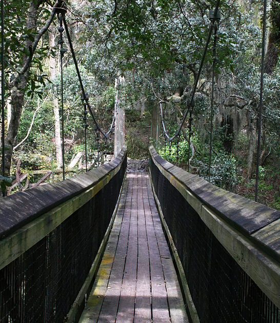florida state fascinating park ftr