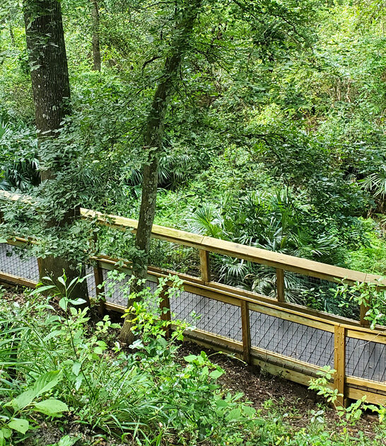 florida state park underrated ftr