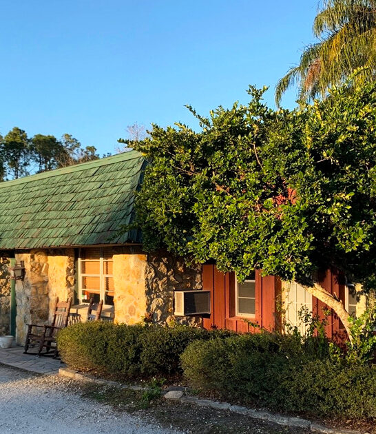 florida steakhouse fried quail ftr