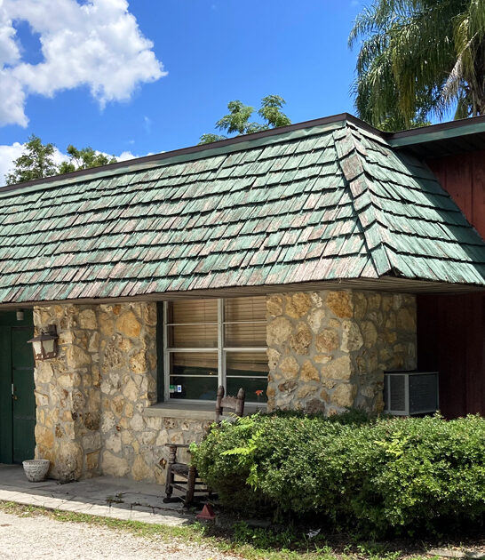 florida steakhouse gator tails ftr