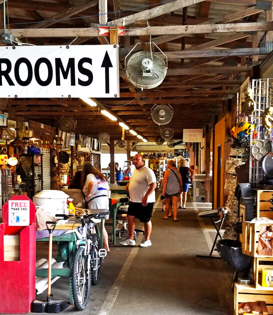 florida treasure hunting market ftr