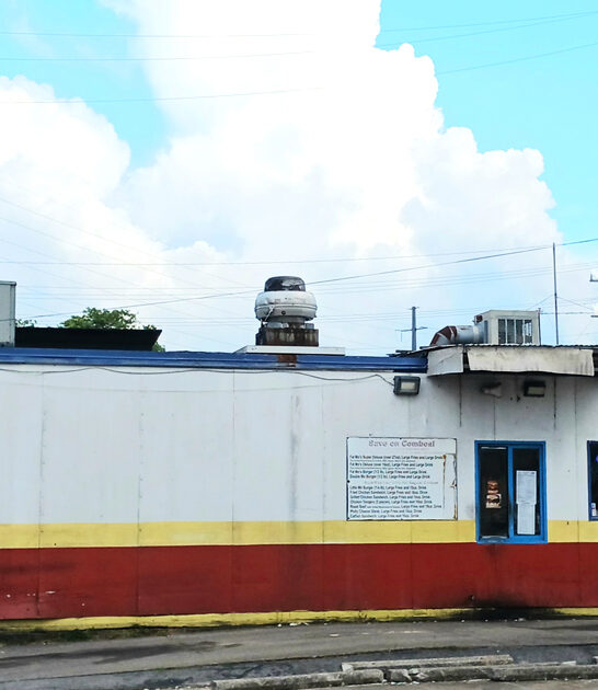 french fries classic tennessee ftr